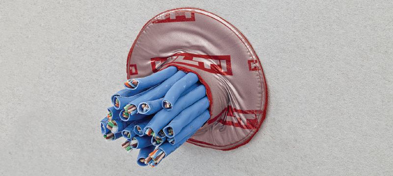 CFS-D 25 Firestop cable disc - Firestop putties - Hilti GB